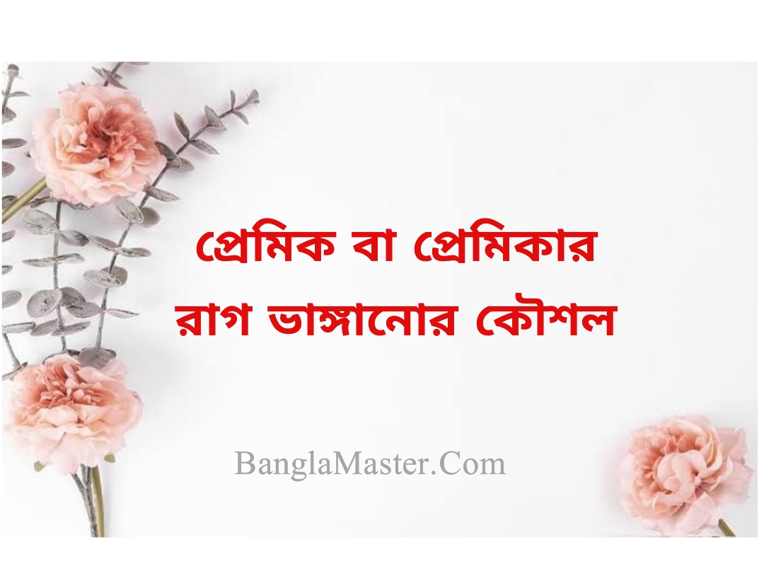 প্রেমিকা বা প্রেমিকের রাগ ভাঙানোর কৌশল, মেসেজ, চিঠি, কবিতা, গল্প, উপায়, পিক, SMS - Bangla Master