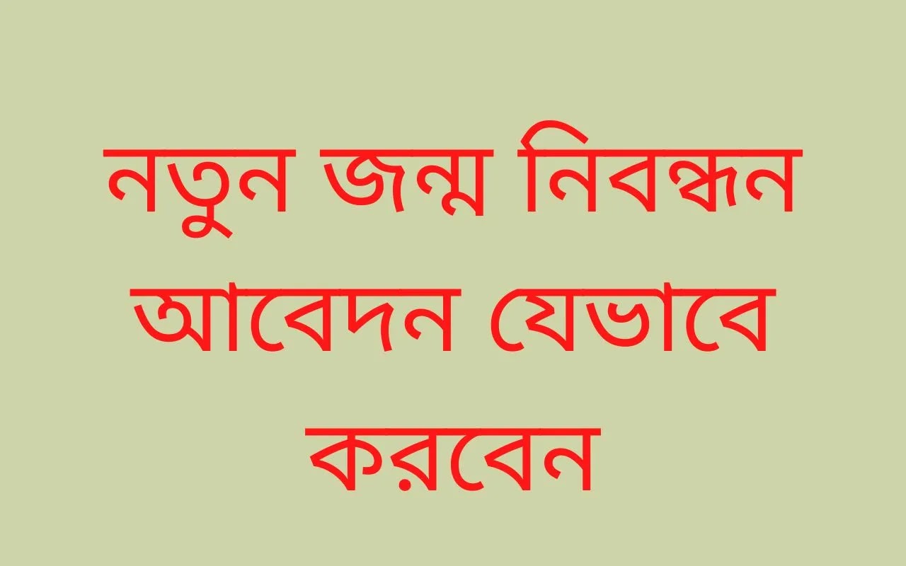 নতুন জন্ম নিবন্ধন আবেদন ফরম ডাউনলোড pdf এবং আবেদন যাচাই করুন - Bangla Master