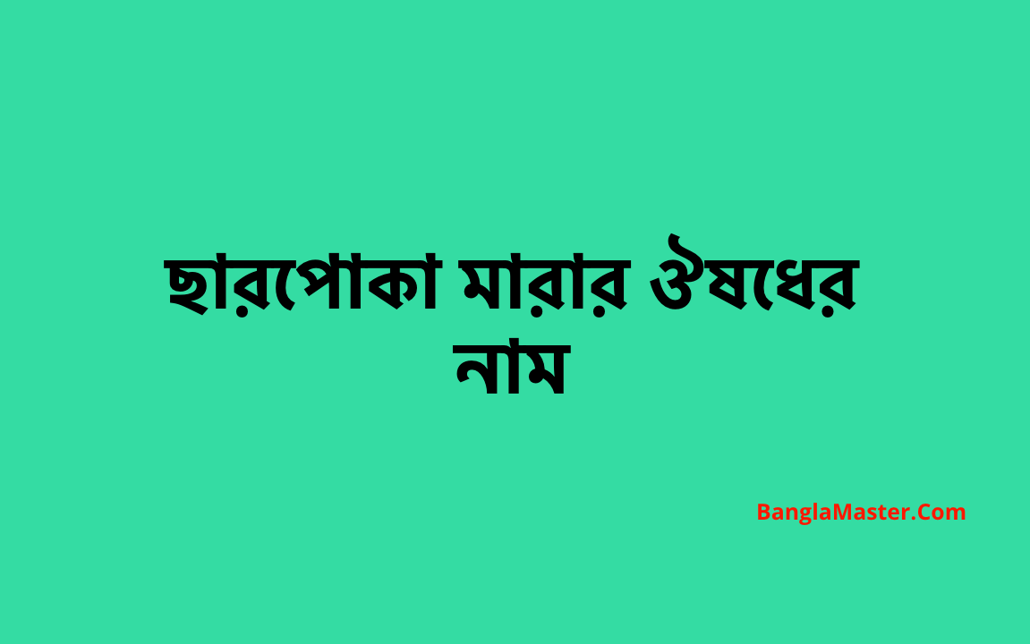 ছারপোকা মারার ঔষধের নাম, স্প্রে, পাউডার, গ্যাস ট্যাবলেট - Bangla Master