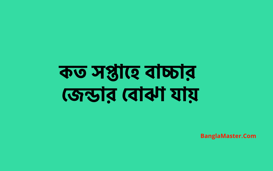 কত সপ্তাহে বাচ্চার জেন্ডার বোঝা যায় এবং নড়াচড়া বোঝা যায় - Bangla Master