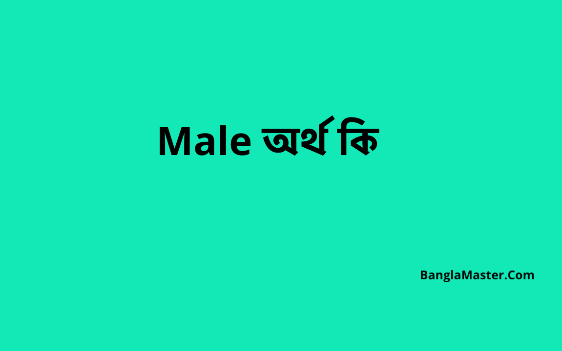 Male অর্থ কি (Male মানে কি ছেলে না মেয়ে) - Bangla Master